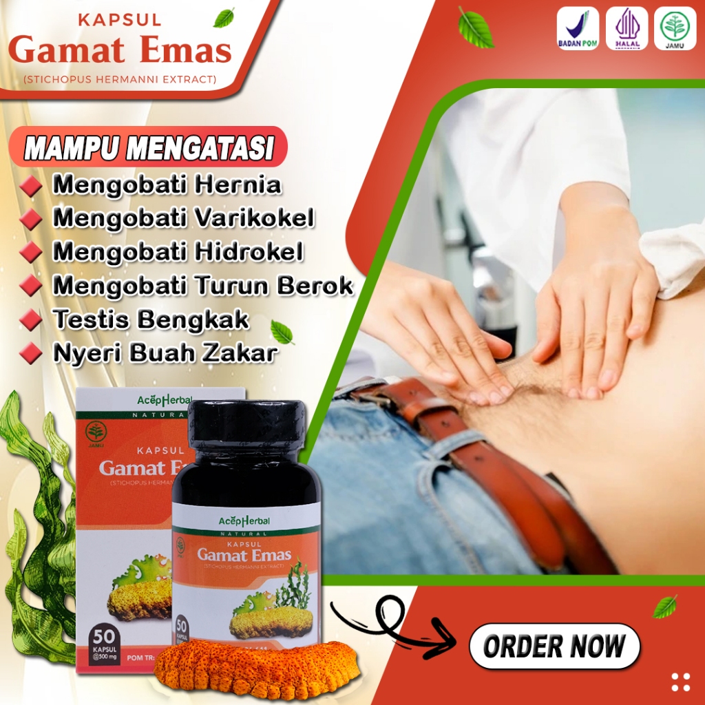 Jual Obat Turun Berok Hernia Pria Varikokel Nyeri Buah Zakar Bengkak Burut Obat Hernia Pria ...