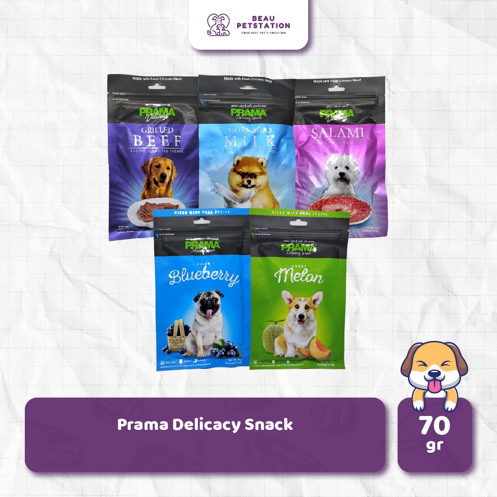 Jual Prama Delicacy Snack Dog - SNACK ANJING VARIASI BUAH | Shopee ...