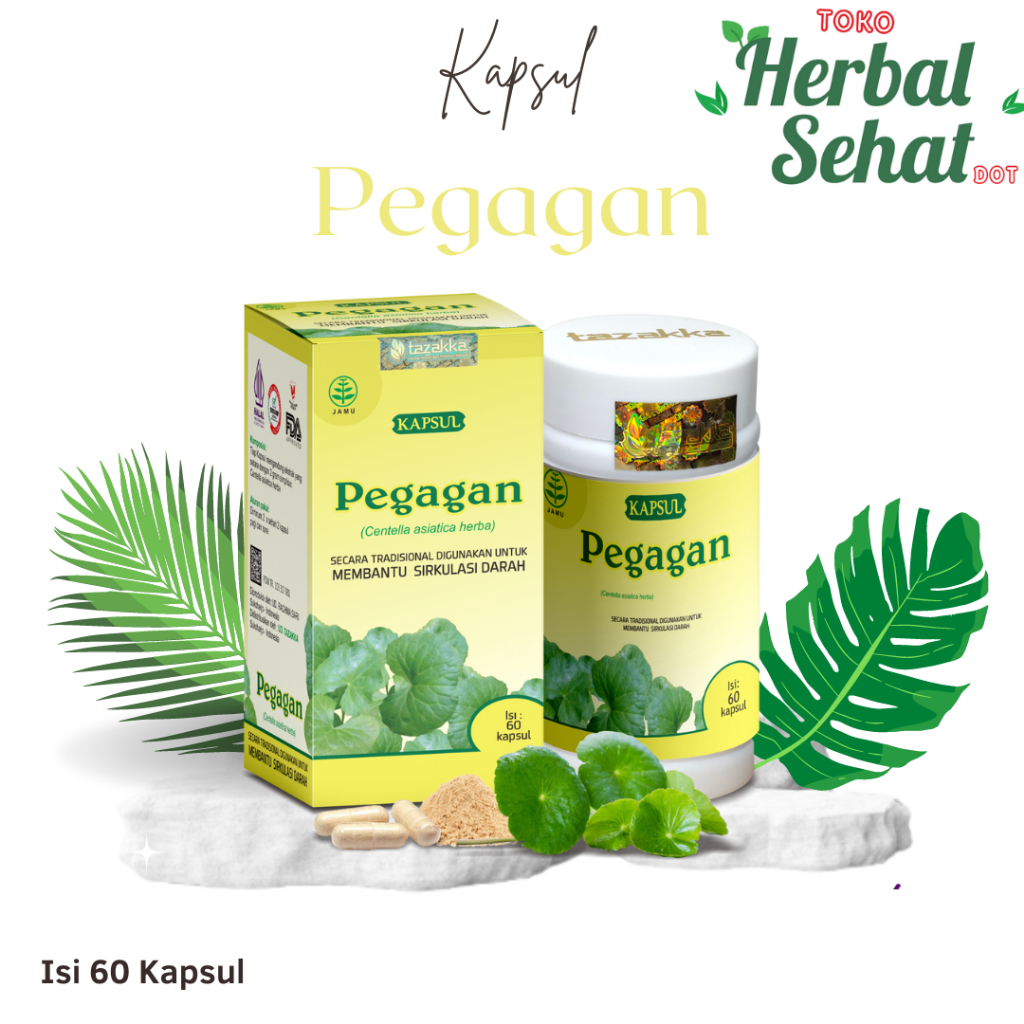 Jual Kapsul Daun Pegagan Ekstrak Herbal Tazakka Official Store 60 Kapsul Obat Daya Ingat Otak ...