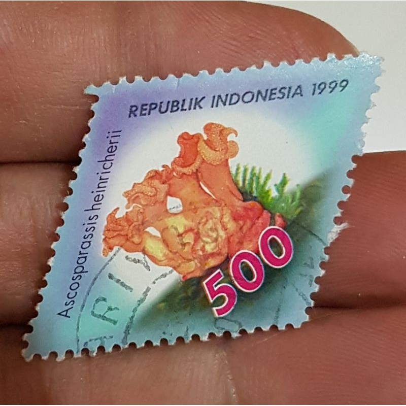 Jual Perangko Bentuk Unik Limas Seri Tumbuhan Langka 1999 Used Filateli ...