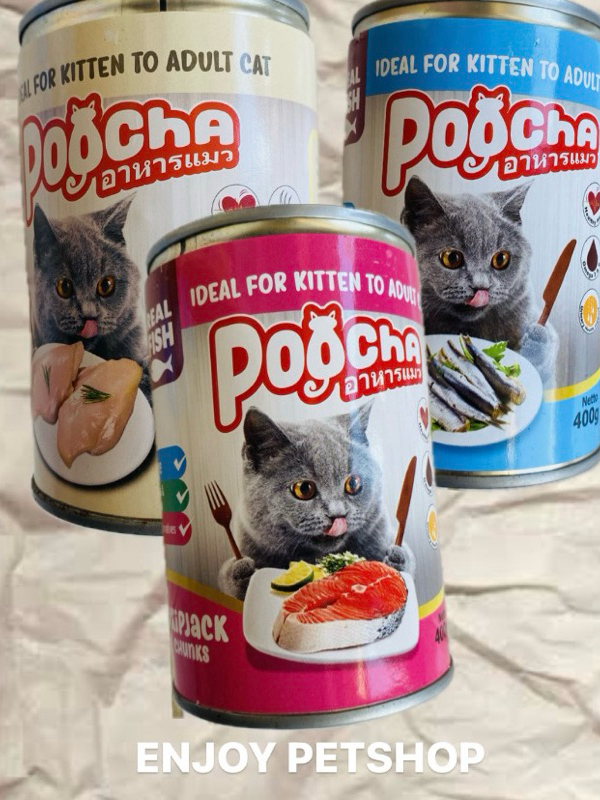 Jual POOCHA (KALENG) | Shopee Indonesia