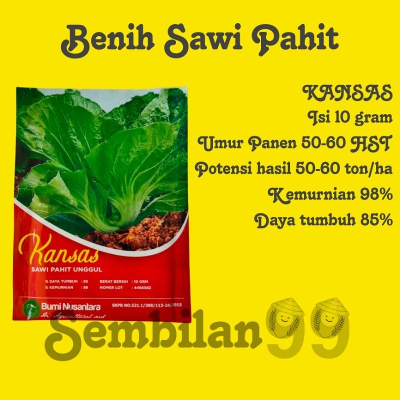 Jual Bibit sawi pahit KANSAS 10g / benih sayur / sawi mangkok / selada ...