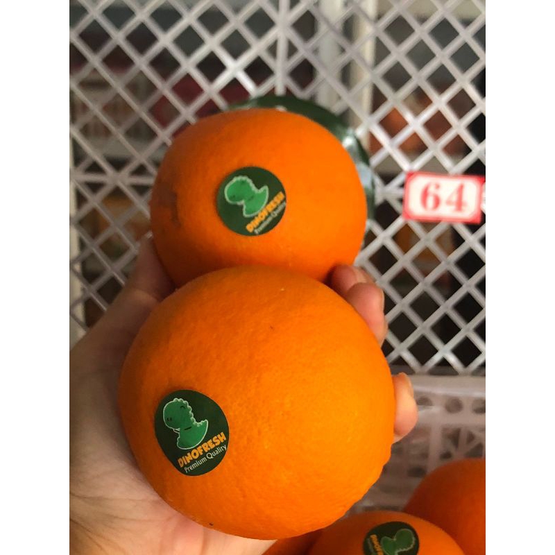 Jual jeruk navel dinofresh size 64 /kg | Shopee Indonesia