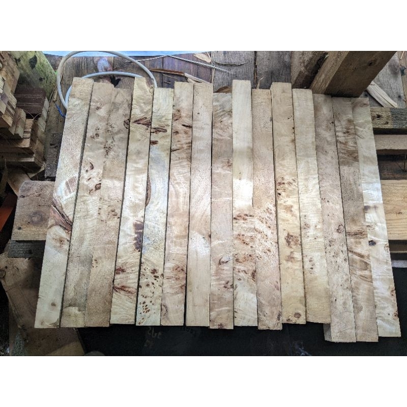 Jual kayu poplar mappa moppa burl curly | Shopee Indonesia