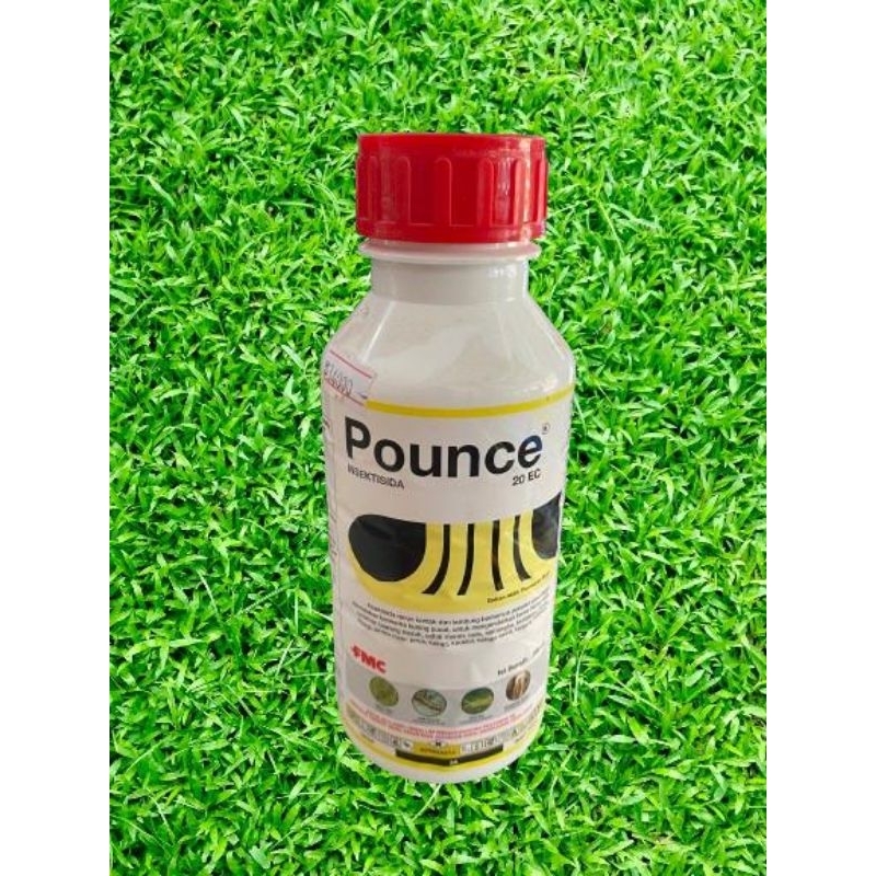 Jual POUNCE 500 ML | Shopee Indonesia