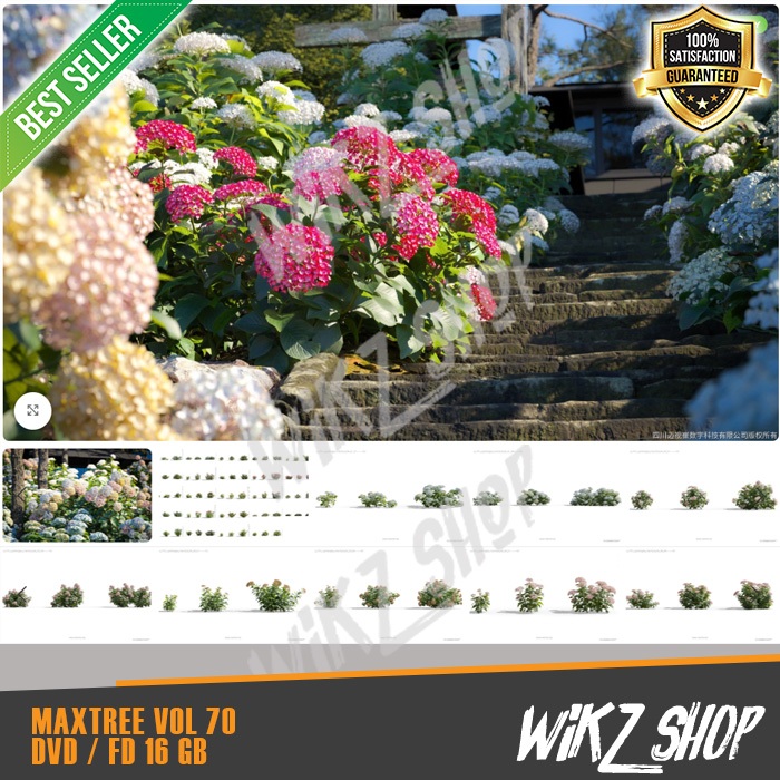 Jual MAXTREE PLANTS 3D MODELS VOLUME 70 | Shopee Indonesia