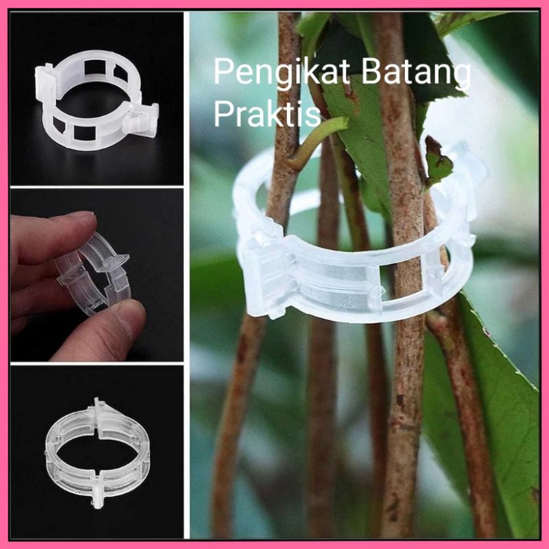 Jual Klip Pengikat Batang - Ranting Tanaman (10 pcs) | Shopee Indonesia
