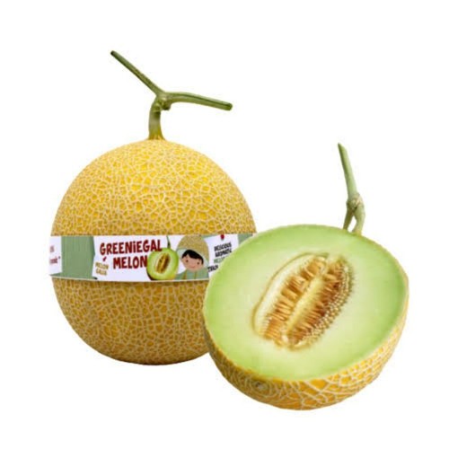 Jual Buah Melon Greeniegal Bulat Utuhan (2-3kg), Ready Stock Delivery ...