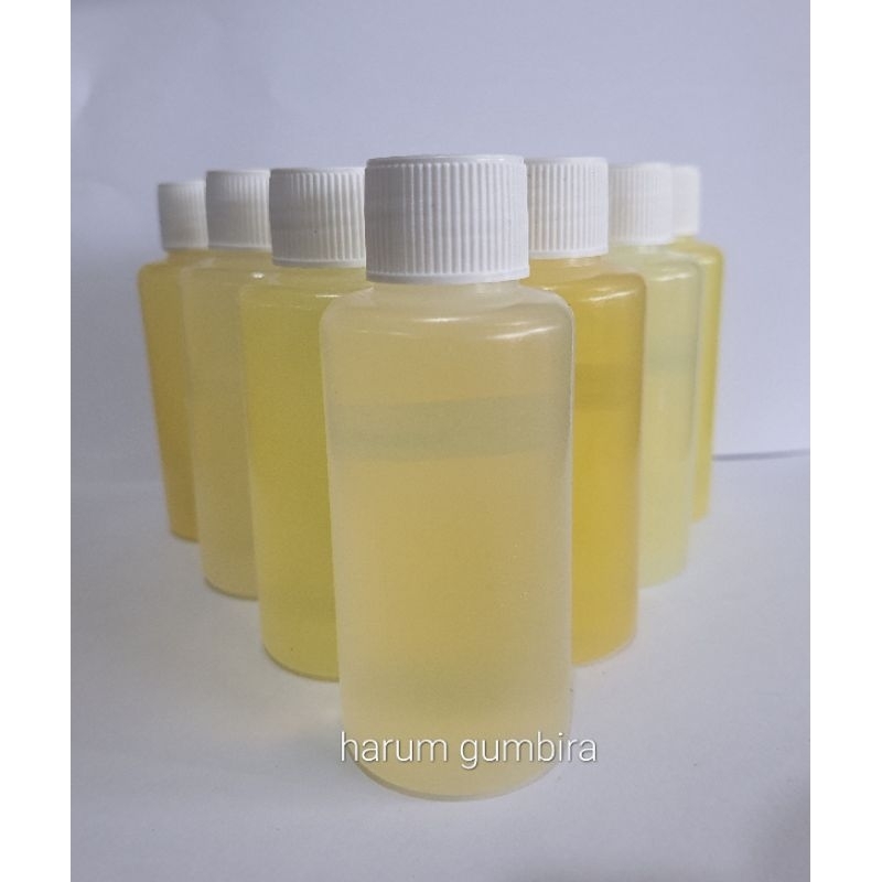 Jual BIBIT PARFUM INCANTO SHINE 100ML | Shopee Indonesia