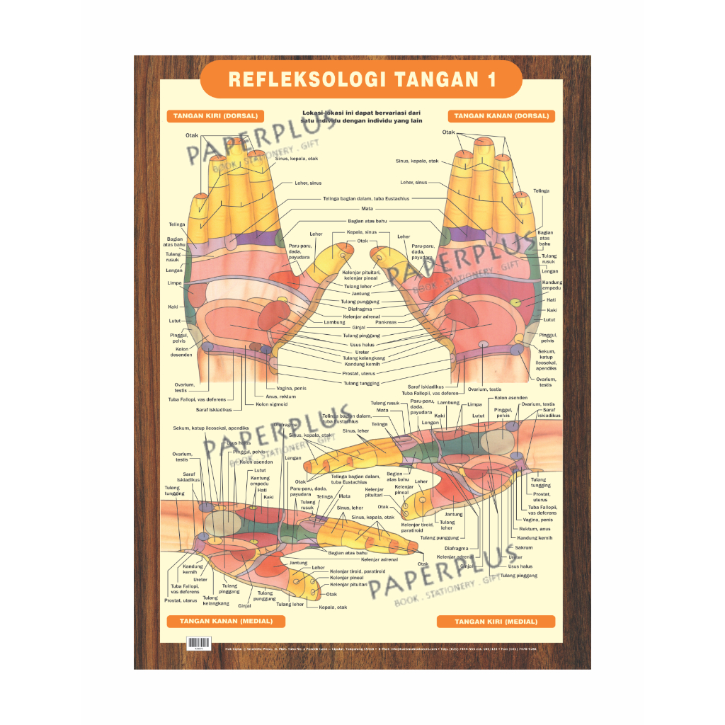 Jual Poster Kedokteran / Kesehatan / Refleksologi Tangan 1 | Shopee Indonesia