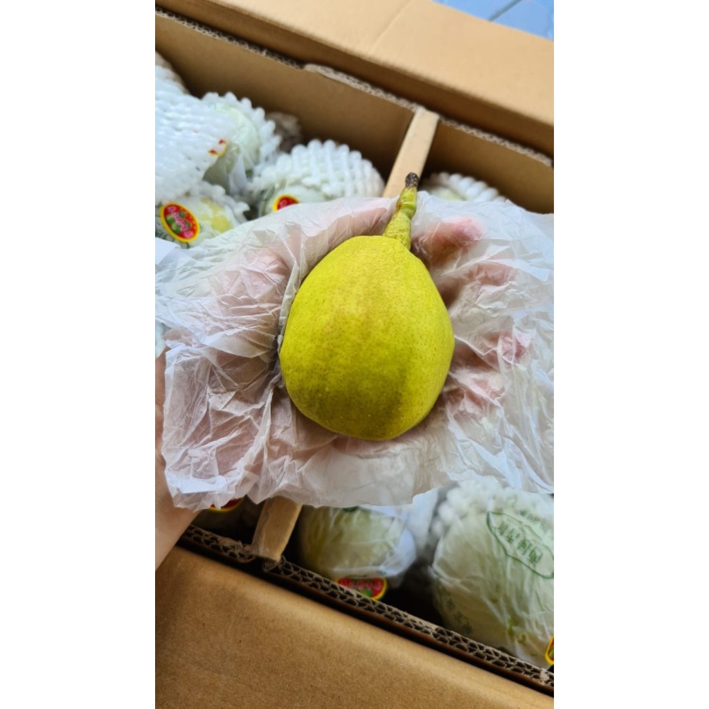 Jual Pear Xianglie (box) | Shopee Indonesia