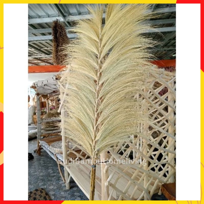 Jual PROMO HOME DECOR BUNGA RAYUNG TANGKAI 21 WARNA BLEACHING/ STIK ...
