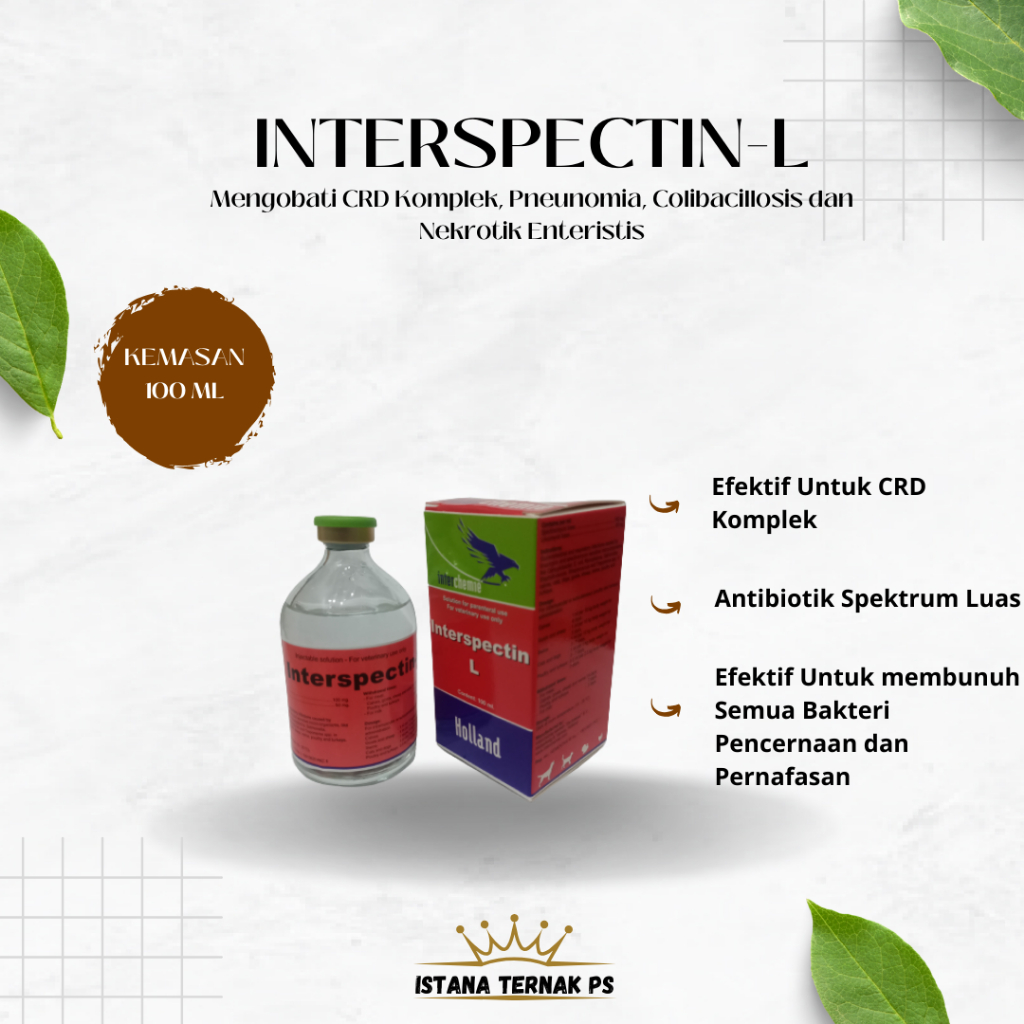 Jual Interspectin L injeksi 100 ml - Lincomycin & Spectinomycin Obat ...