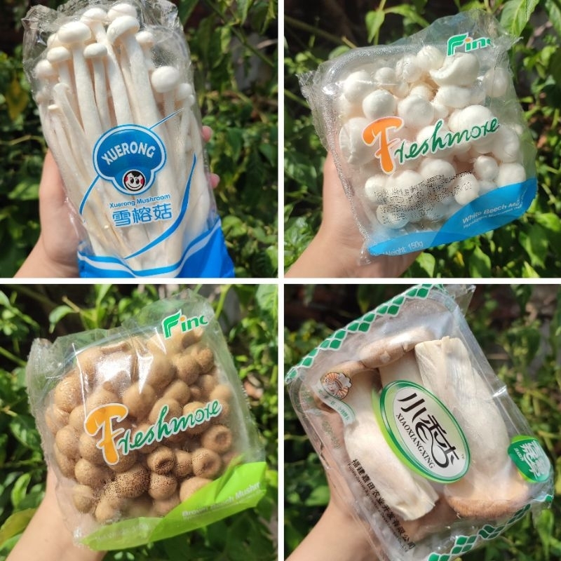 Jual Jamur Buna Shimeji | Jamur Shitake | Jamur King Mini Oyster ...