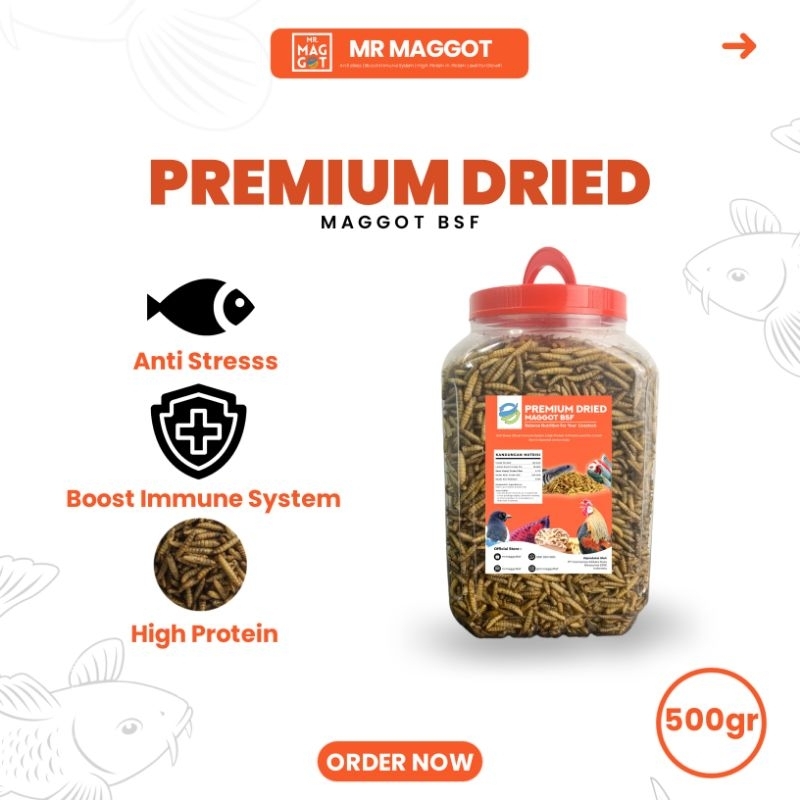 Jual MR MAGGOT - Grade Premium Maggot/Magot Kering BSF untuk pakan ikan ...