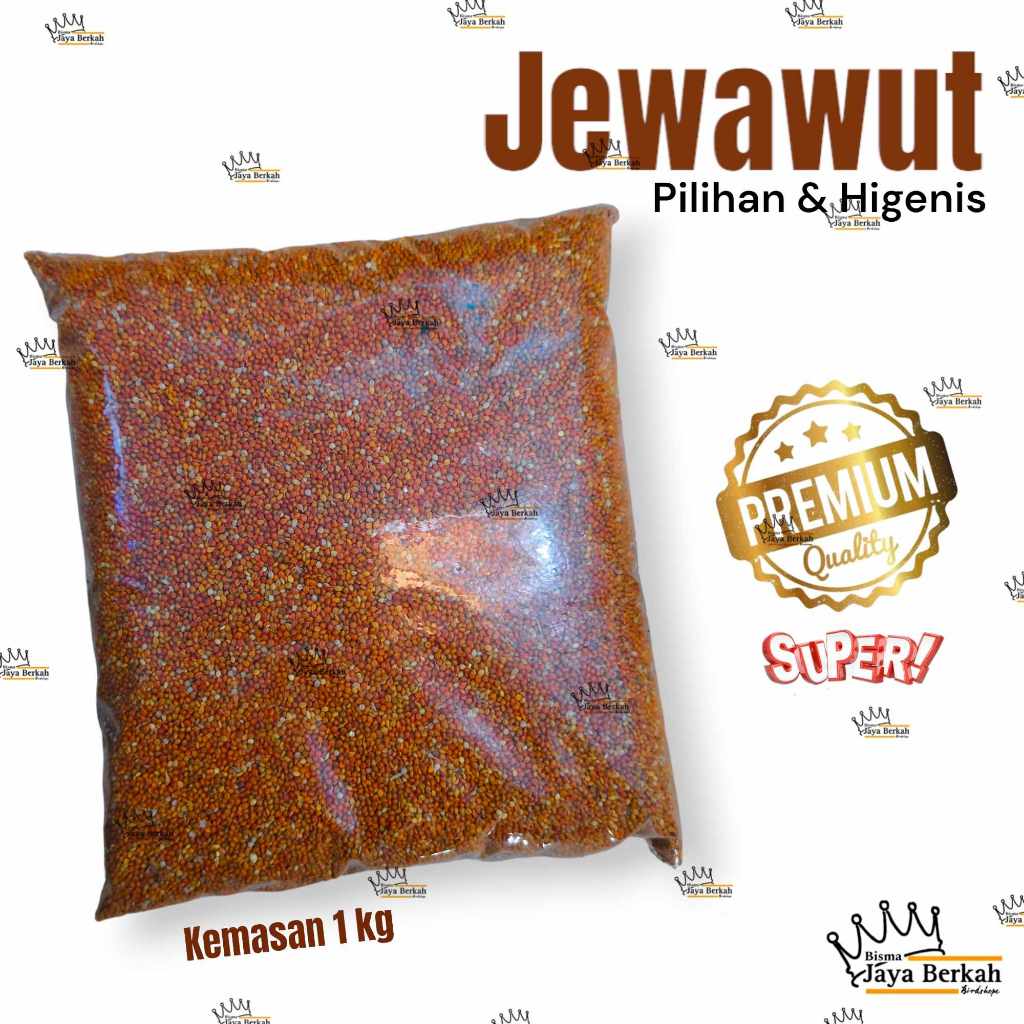 Jual Biji juwawut 1 kg jewawut/ juwawod makanan burung finch dll / 1 kg ...