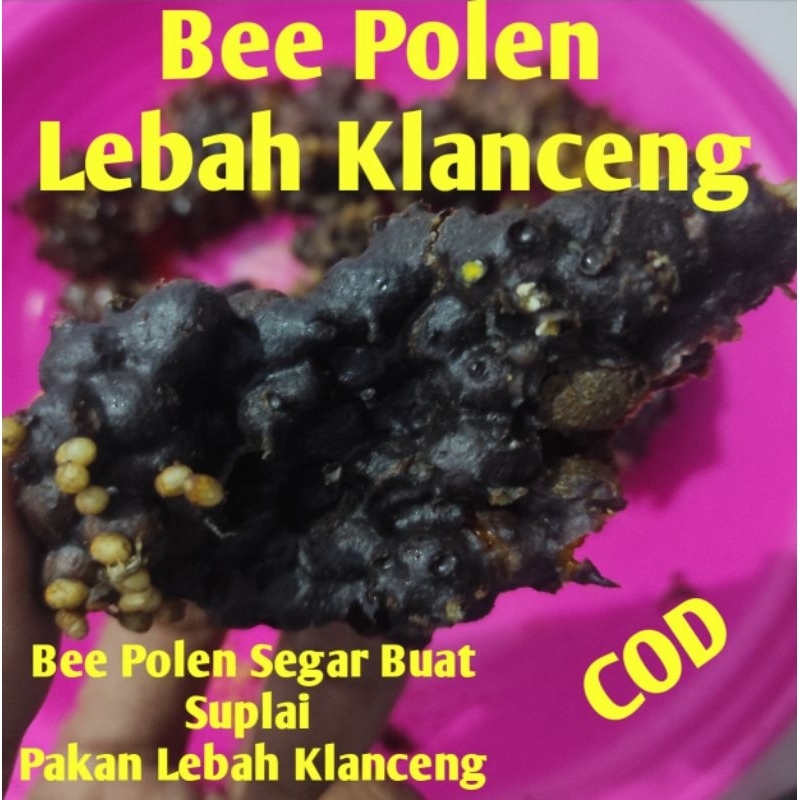 Jual Bee Polen/Serbuk Sari Bunga Lebah Klanceng/klulut/kele/Trigona ...