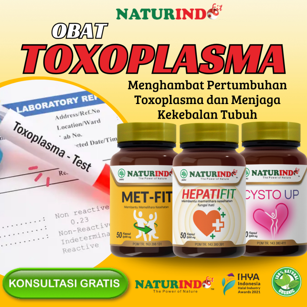 Jual Obat Toxoplasma Paling Ampuh Dewasa Toksoplasma Infeksi Virus ...