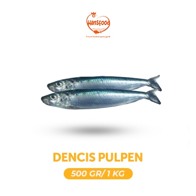 Jual Ikan Dencis Pulpen | Shopee Indonesia