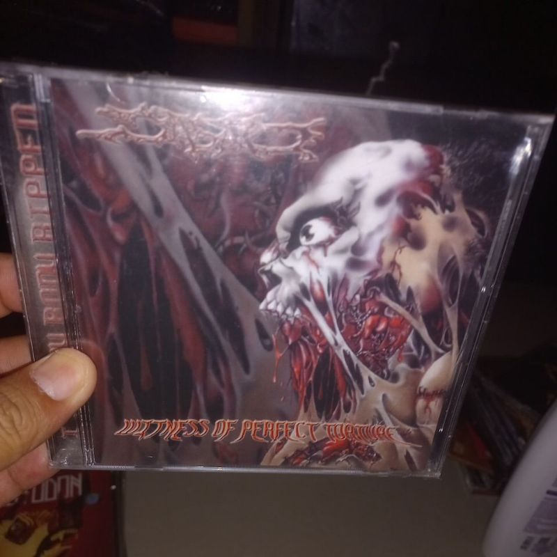Jual cd jasad witness of perfect torture | Shopee Indonesia