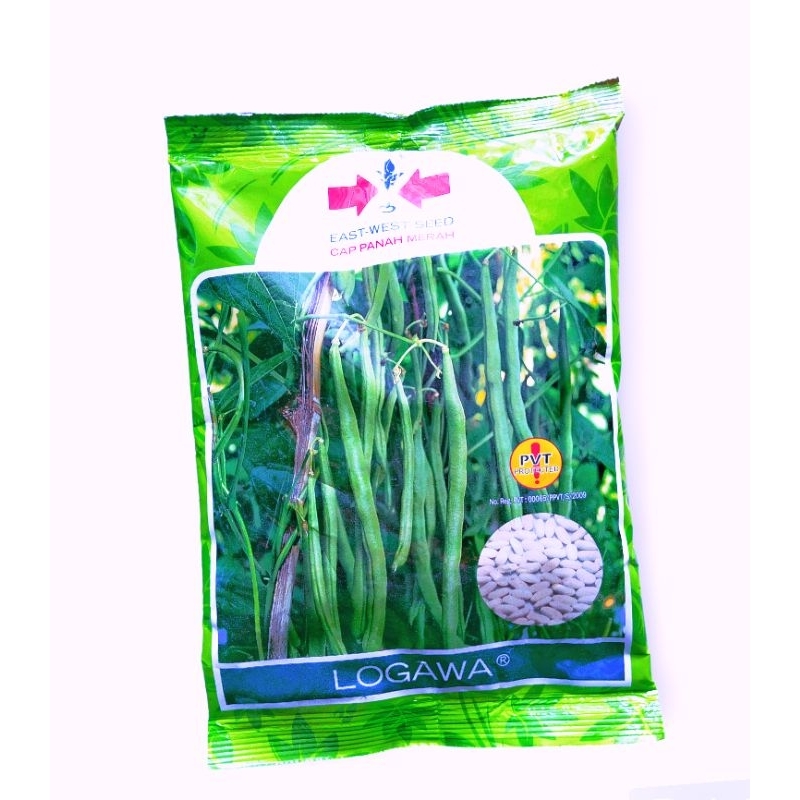 Jual Bibit Buncis LAGAWA Super isi 500Gr Kemasan sendiri di Ripack ...