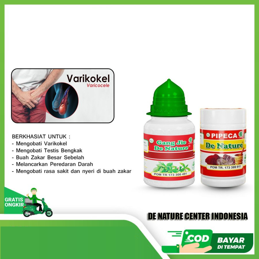 Jual Obat Varikokel Verikokel Testis Bengkak Buah Zakar Besar Sebelah ...