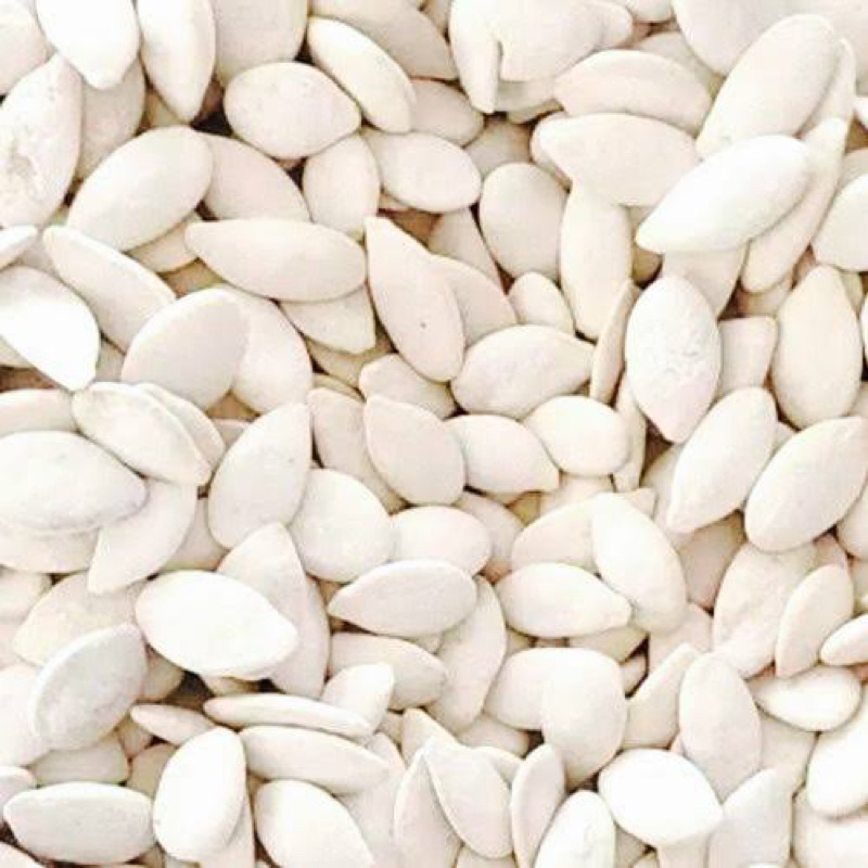 Jual KUACI PUTIH 500 GR / KUACI BIJI LABU SUPER / KUACI WALUH / KWACI ...
