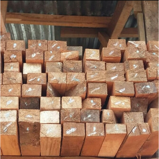 Jual KAYU SENGON 4X6 4 METER 1 LONJOR - KAYU PLAFON | Shopee Indonesia
