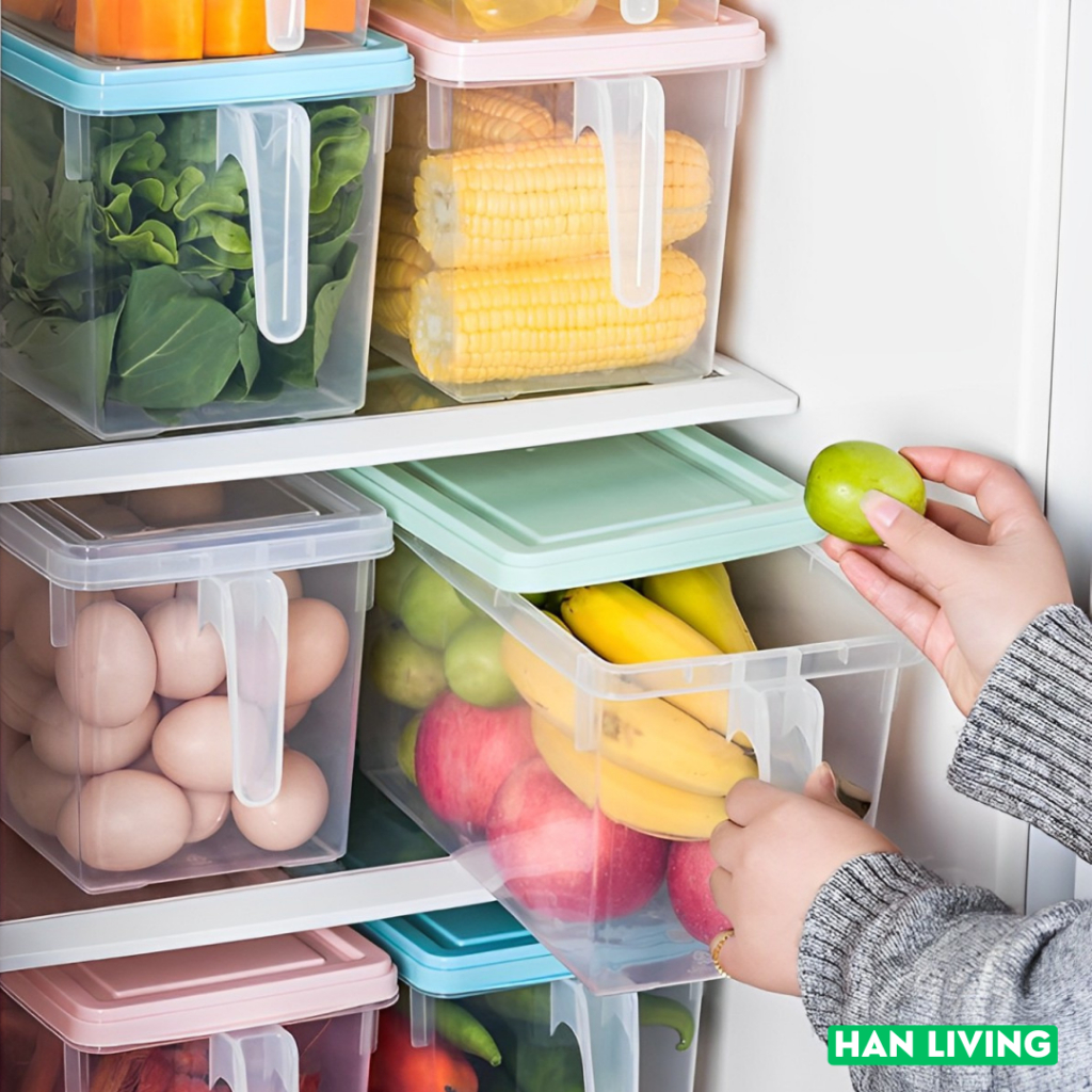 Jual HANLIVING Kotak Kontainer Makanan Kulkas Food Storage Box Kotak ...