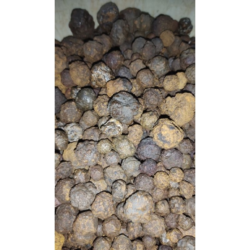 Jual Munta Besi | Shopee Indonesia