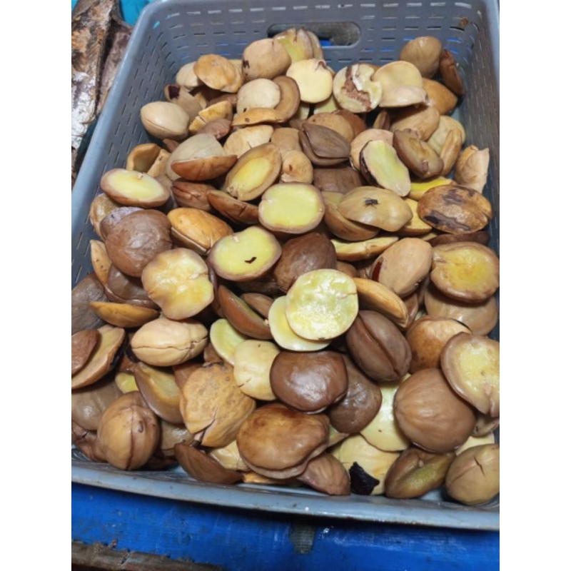Jual jengkol rebus 250grm | Shopee Indonesia