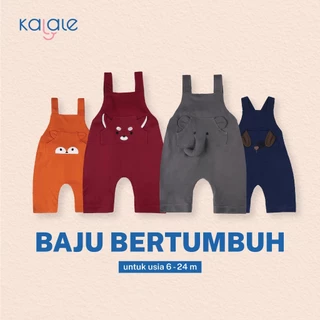 Toko Online Kalale Official Shop | Shopee Indonesia