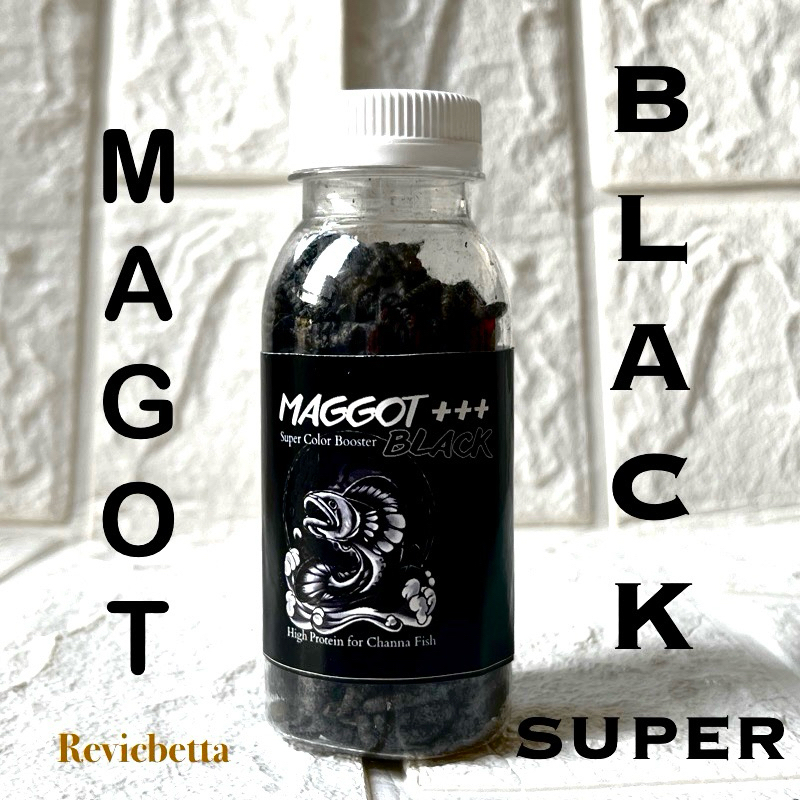Jual MAGGOT SUPER BLACK magot dengan Extra Squid Ink Untuk Progres ...