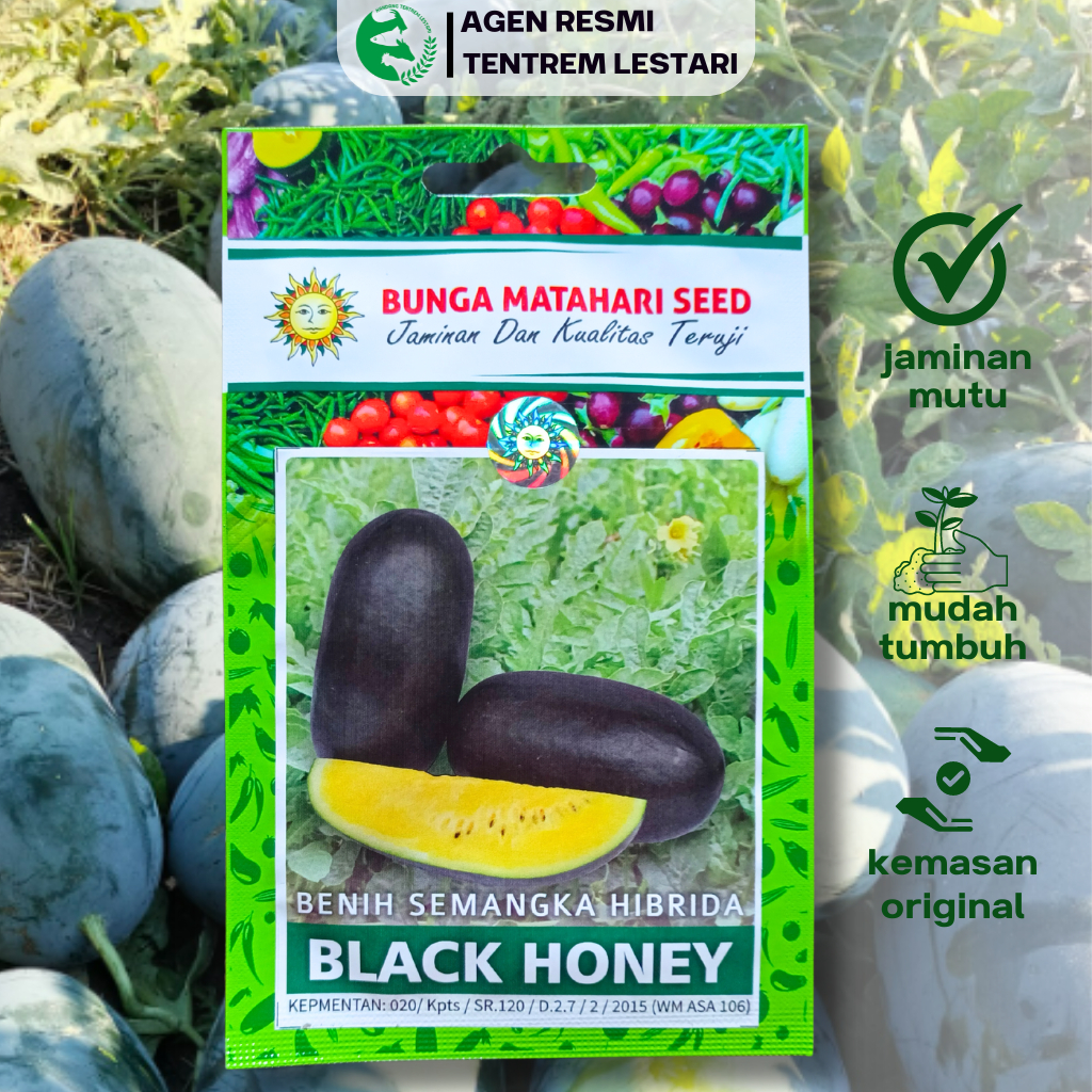 Jual Benih Semangka Hibrida BLACK HONEY 25 Biji Cap Bunga Matahari Inul ...