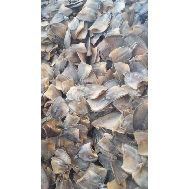 Jual ikan asin biawan,ikan asin sapek,ikan asin bulan-bulan,ikan asin ...