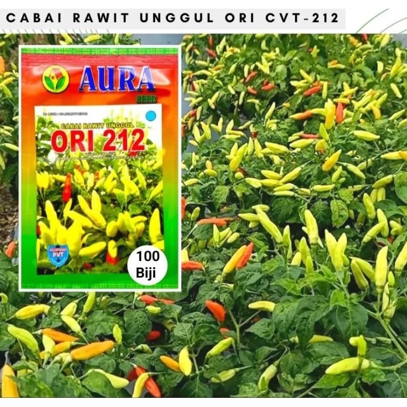 Jual benih cabe ori 212 kemasan ekonomis | benih cabe rawit | bibit ... Jual benih cabe ori 212 kemasan ekonomis | benih cabe rawit | bibit ...