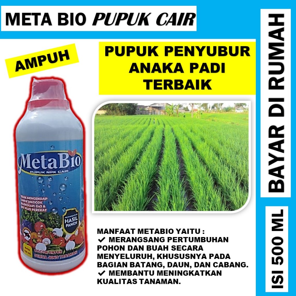 Jual (ASLI MURAH) Obat Pelebat Anakan Padi Bobot Berat & Besar Bio meta ...