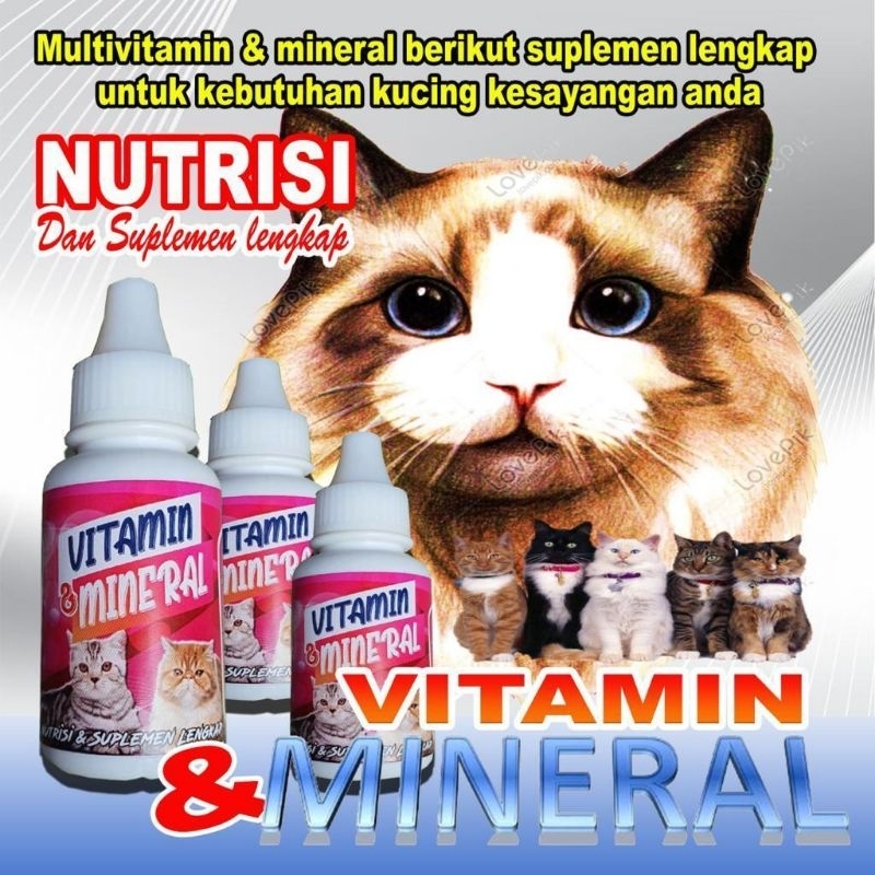 Jual NUTRISI KUCING VITAMIN DAN MINERAL 30 ML OBAT PENGUAT TUBUH KUCING ...