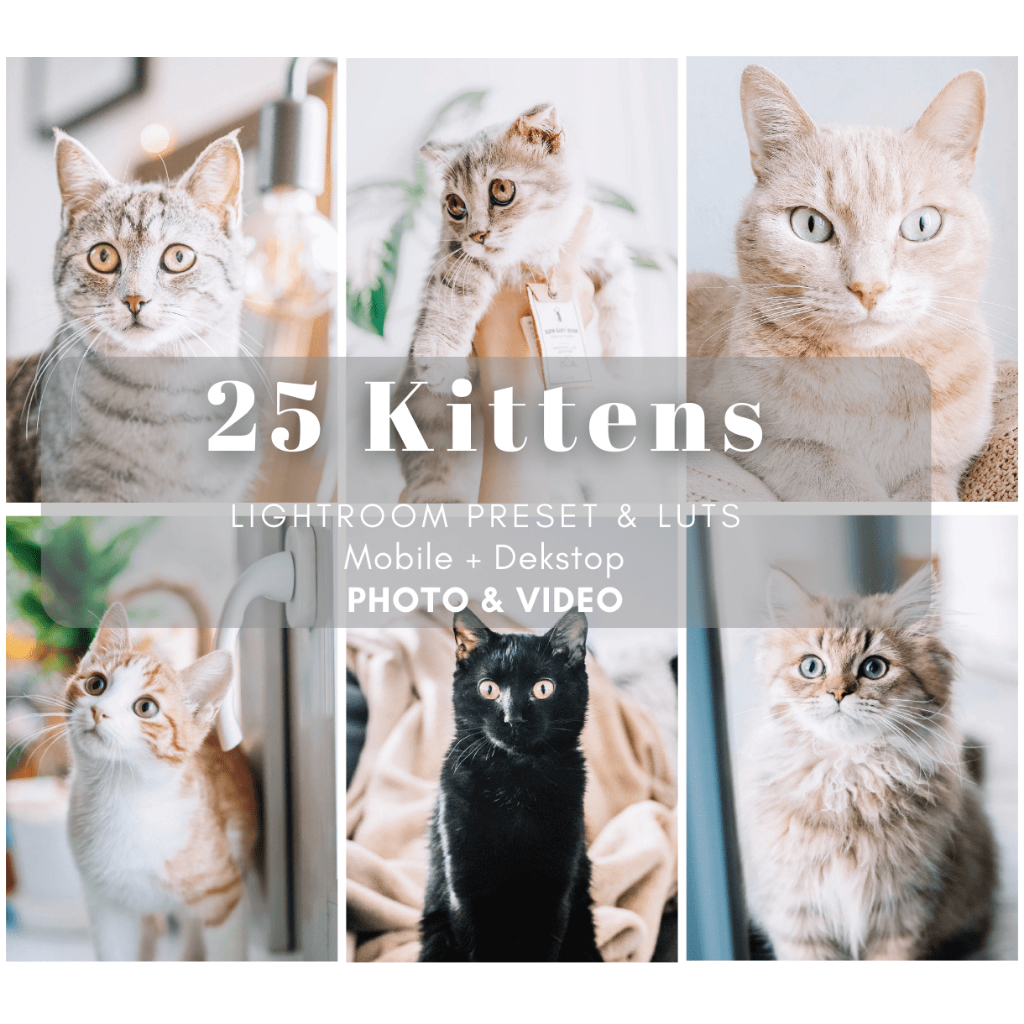 Jual 25 Kittens Preset Lightroom & Video Filter LUTS Mobile (Android ...