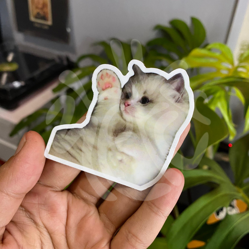 Jual stiker kucing / sticker aesthetic / sticker tumblr /stiker premium ...