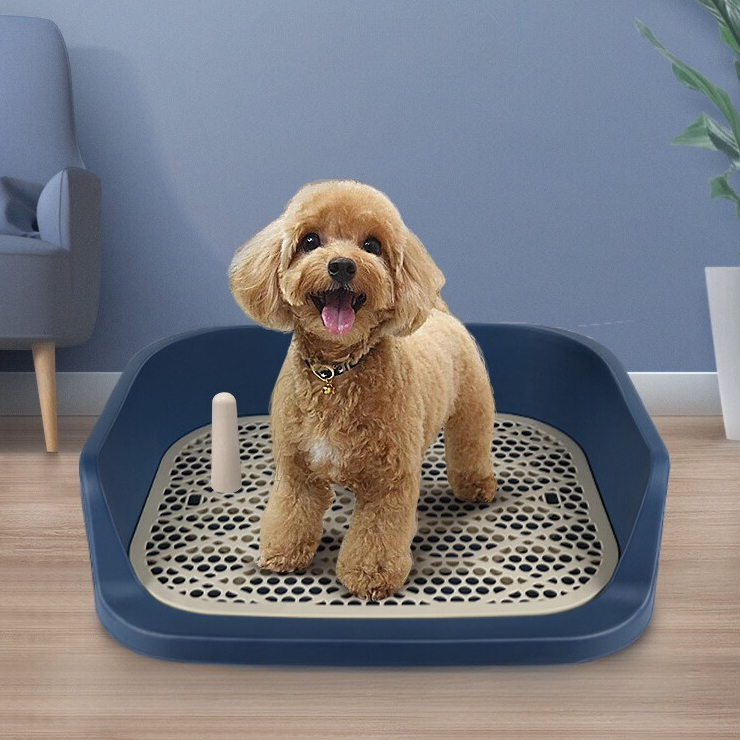 Jual DOG TOILET MORANDI - Alas Kencing Anjing Kucing Ukuran Besar - Pad ...