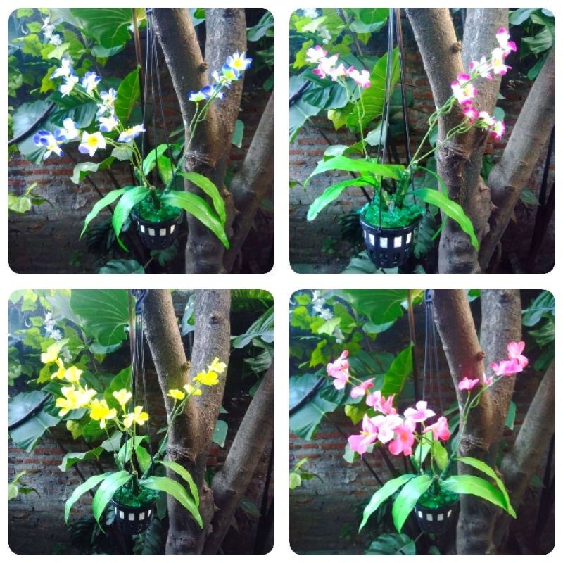 Jual Anggrek gantung oncidium merpati bunga hias artificial imitasi ...