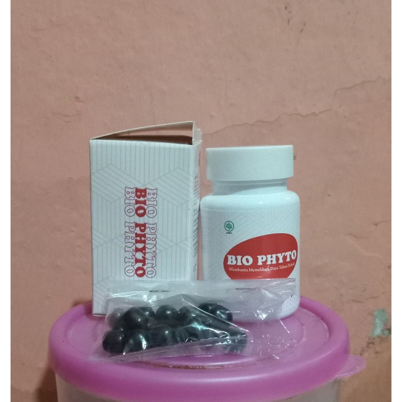 Jual Bio phyto original,Pil hitam ajaib, ecer 22 biji | Shopee Indonesia