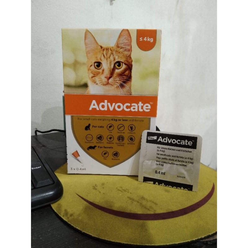 Jual Advocate Cat obat tetes kutu kucing 1 kg - 4 kg ( 1 box isi 3 tube ...