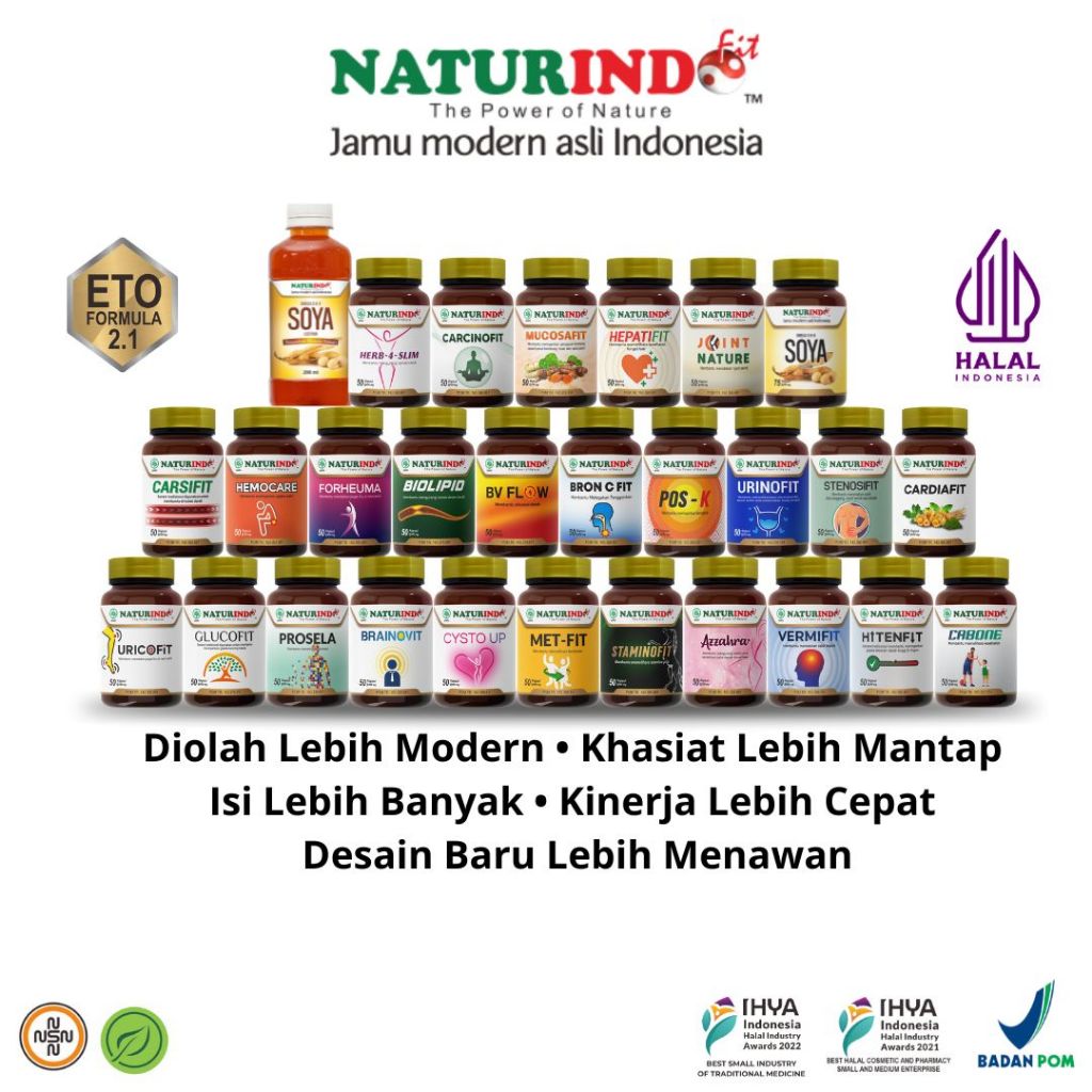 Jual JAMU MODERN ASLI INDONESIA NATURINDO FIT HALAL BERIZIN BPOM ...