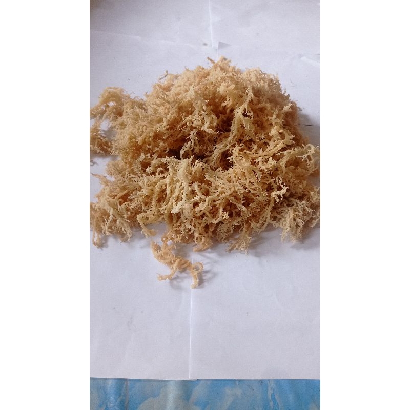 Jual Rumput laut kering 100% Original kemasan 1000gram/1kg | Shopee ...
