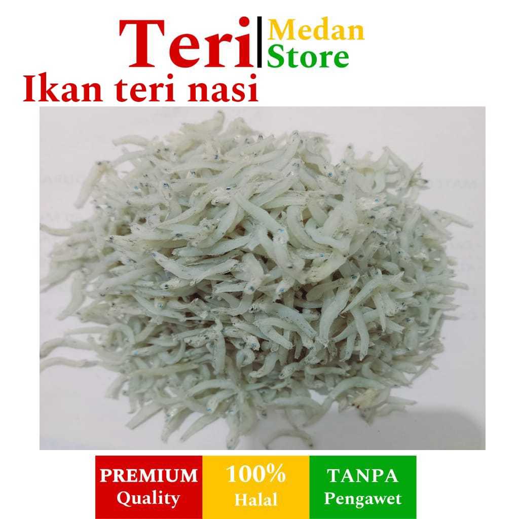 Jual Ikan teri nasi medan super ukuran sedang 100 gram 250 gram 500 ...