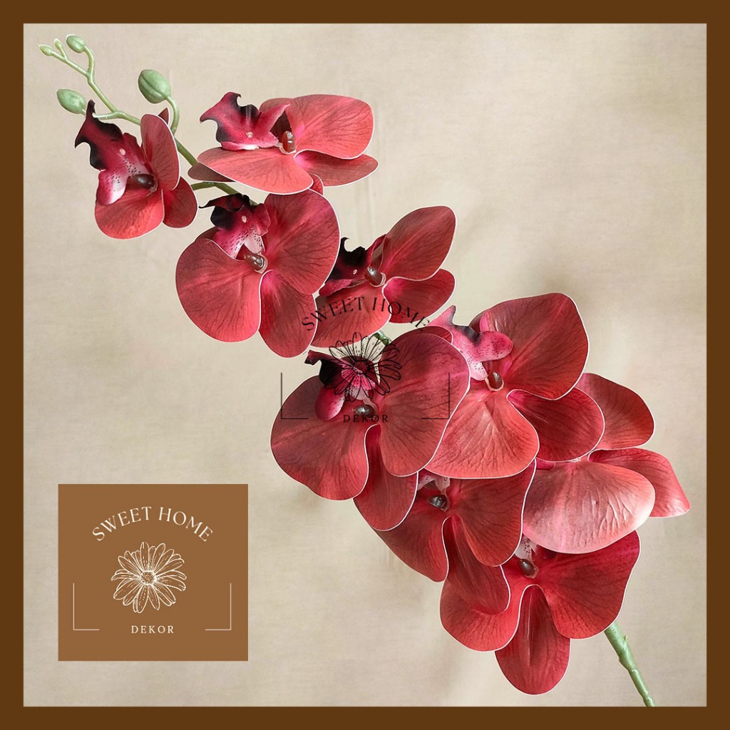 Jual Artificial Orchids Bunga Anggrek Latex Real Touch K9 Premium ...
