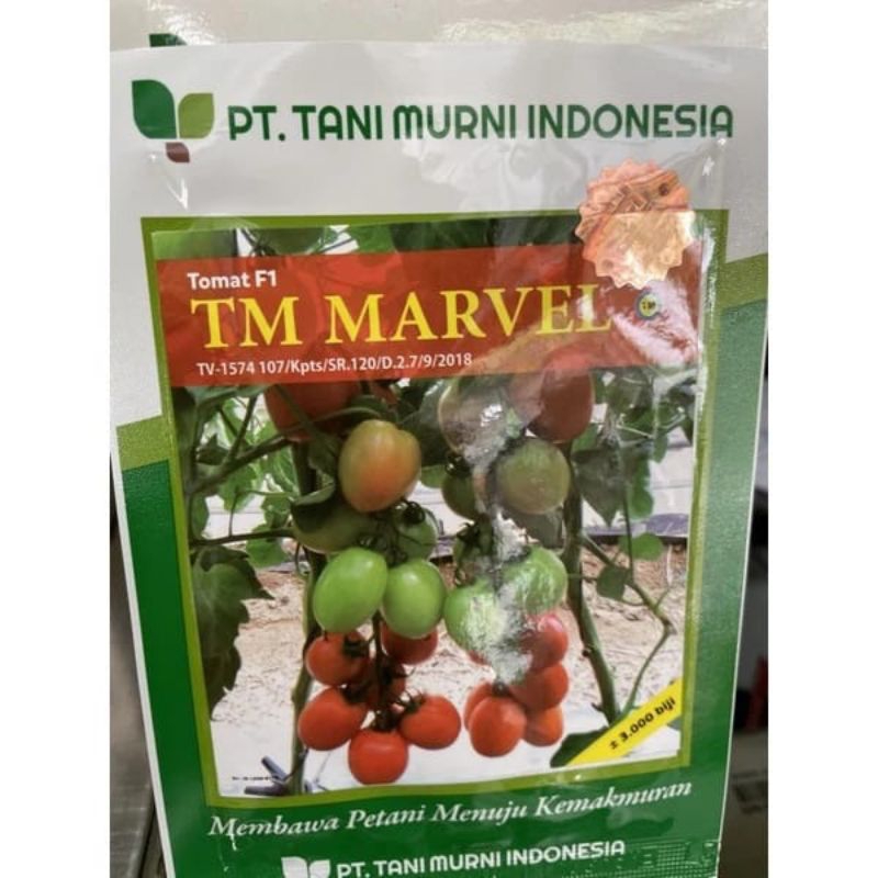 Jual Benih bibit Tomat Hibrida TM MARVEL F1 10 gram original 3000 butir ...