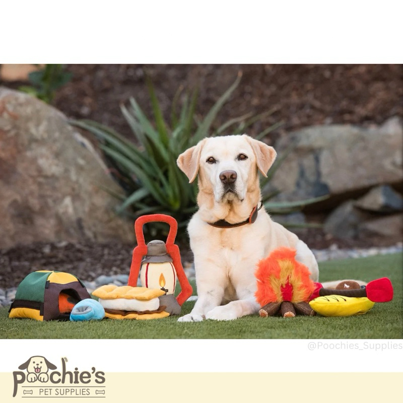 Jual Mainan anjing Pet Play - Camp Corbin Collection Set (with gift box ...